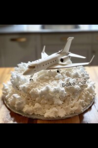 26 Airplane Cake Design Ideas [GALLERY] - BakeSpark