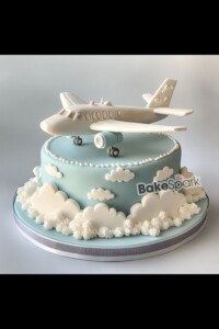 26 Airplane Cake Design Ideas [GALLERY] - BakeSpark