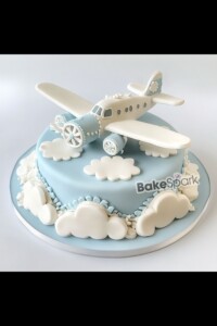 26 Airplane Cake Design Ideas [GALLERY] - BakeSpark